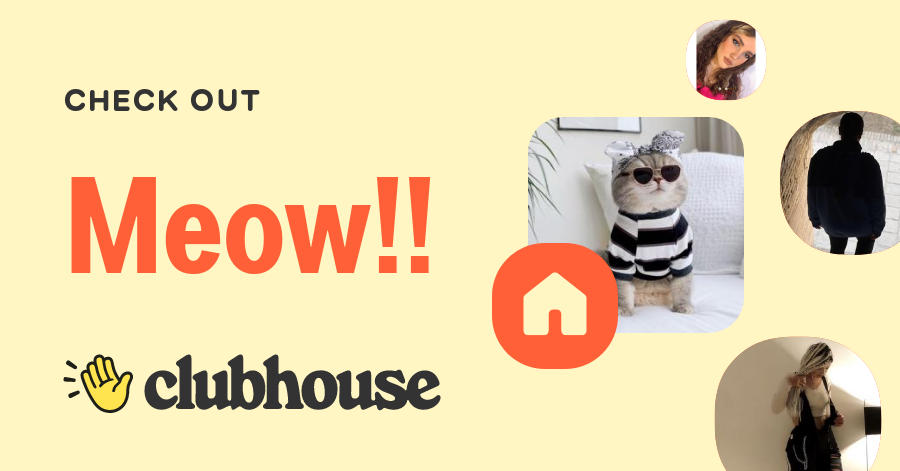 Meow!!
