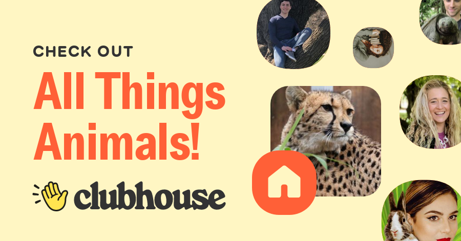 All Things Animals!