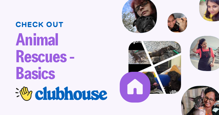 Animal Rescues - Basics