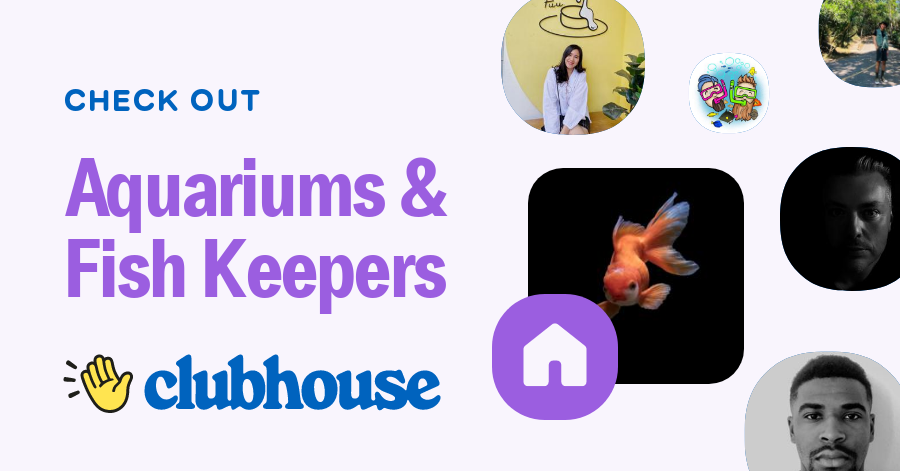 Aquariums & Fish Keepers