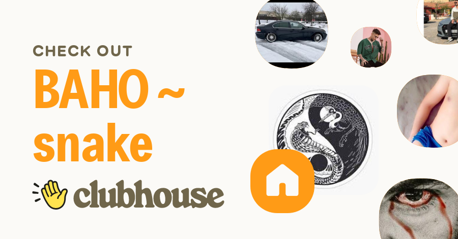 BAHO ~ snake