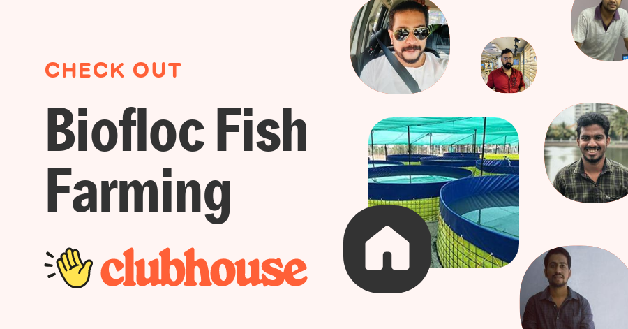 Biofloc Fish Farming