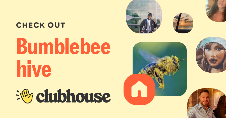 Bumblebee hive
