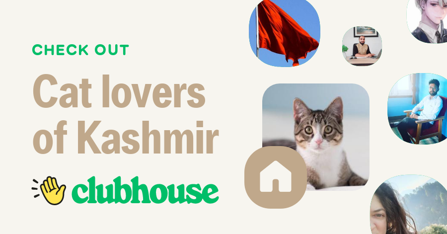 Cat lovers of Kashmir