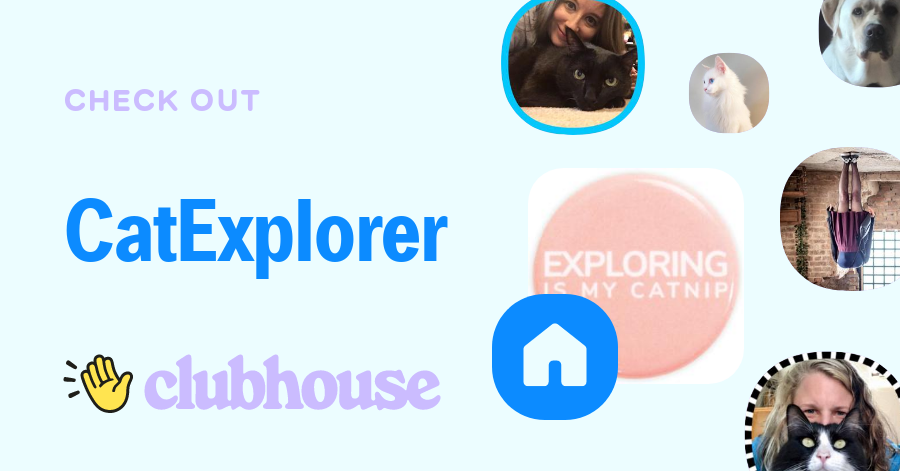 CatExplorer