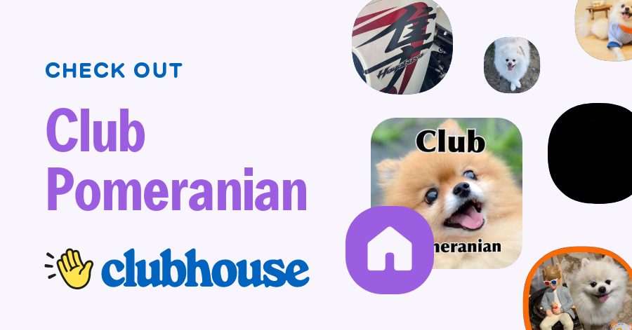 Club Pomeranian