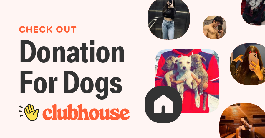 Donation For Dogs