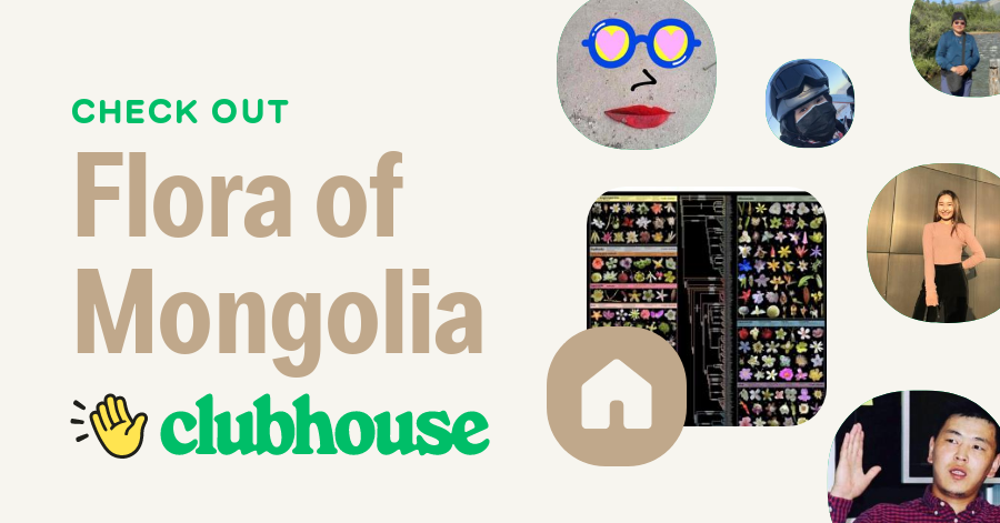 Flora of Mongolia