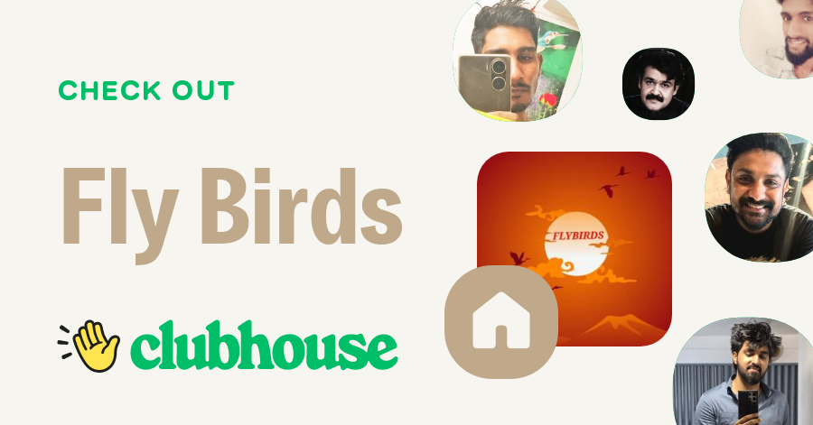 Fly Birds