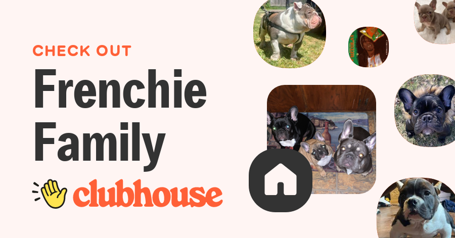 Frenchie Family