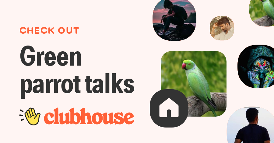 Green parrot talks