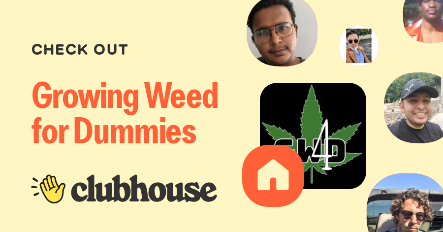 Growing Weed for Dummies