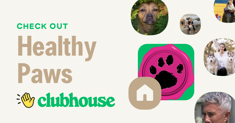 Healthy Paws