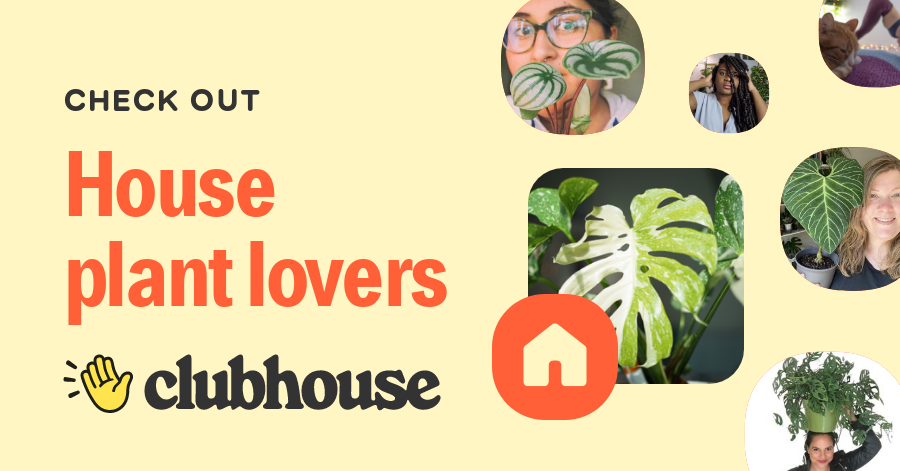 House plant lovers