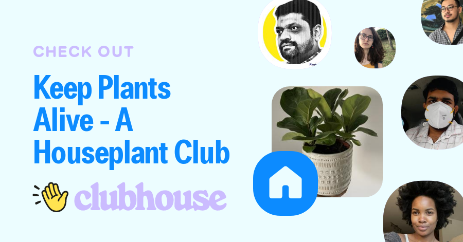 Keep Plants Alive - A Houseplant Club