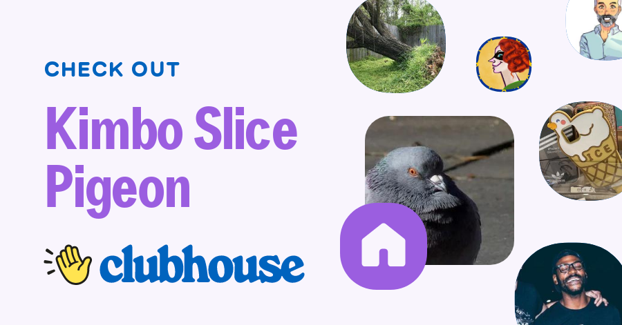 Kimbo Slice Pigeon