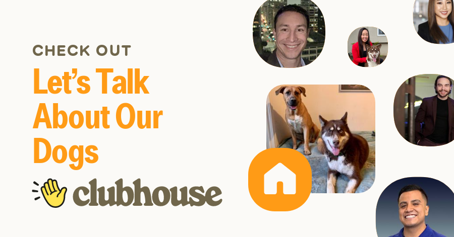 Let’s Talk About Our Dogs