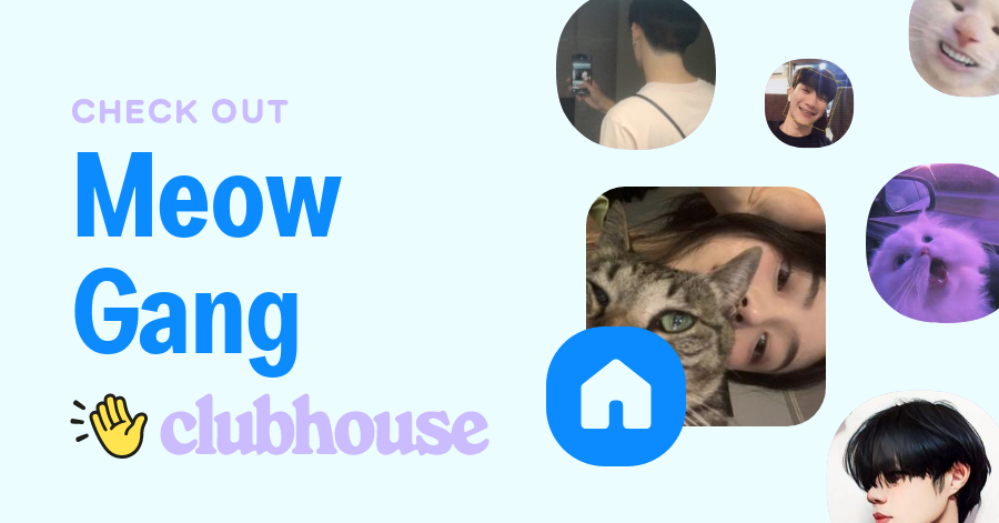 Meow Gang