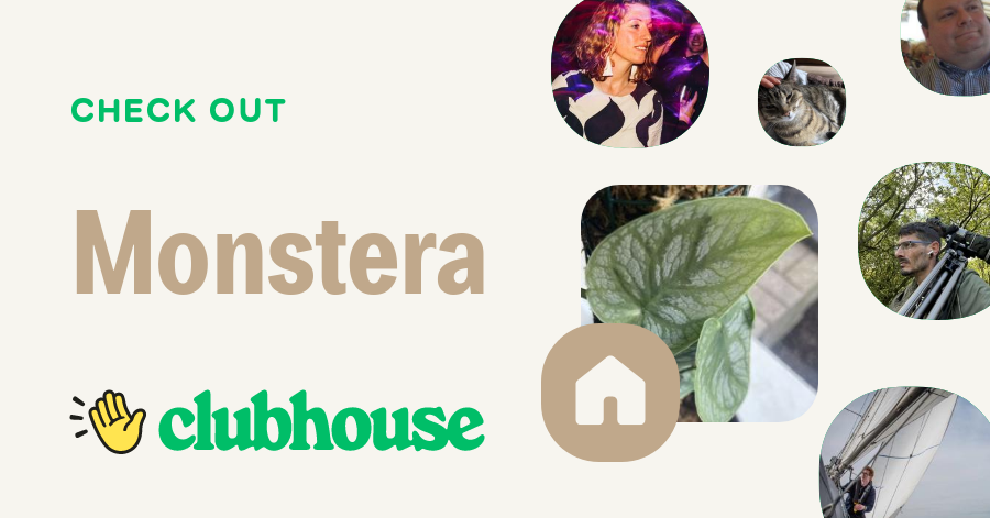 Monstera