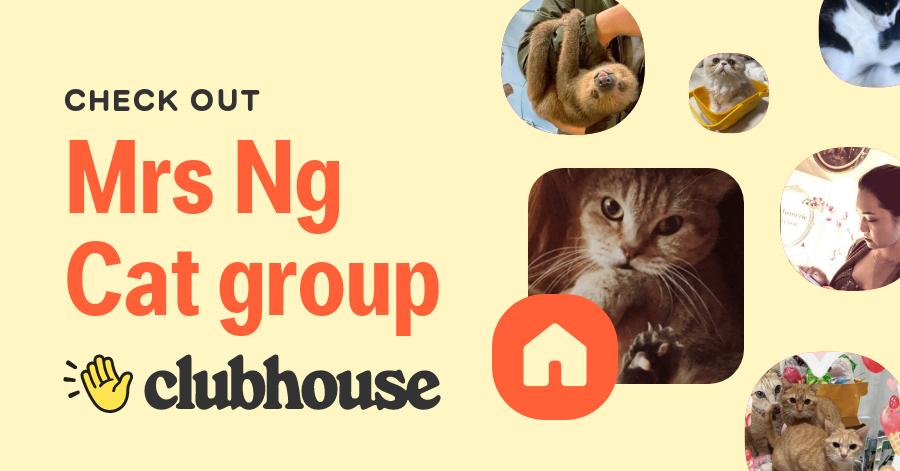 Mrs Ng Cat group