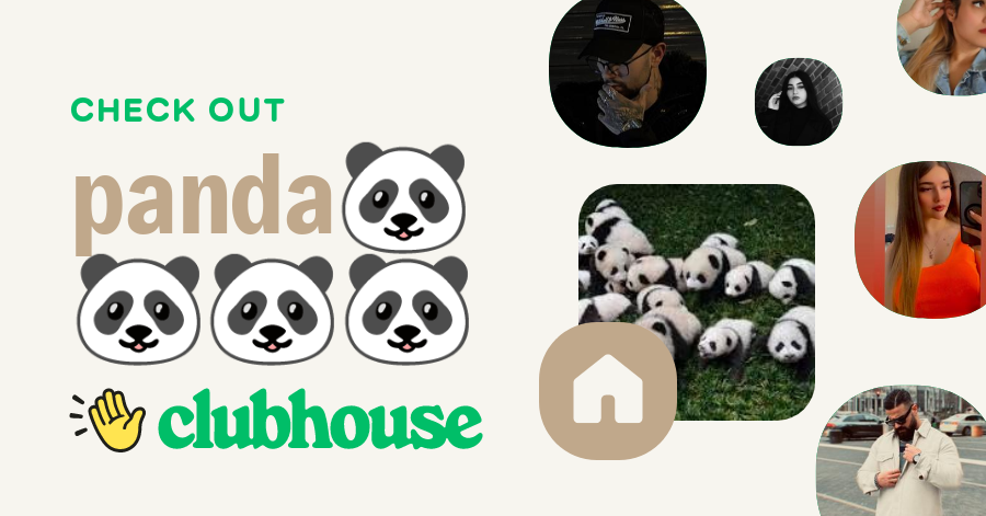 panda🐼🐼🐼🐼