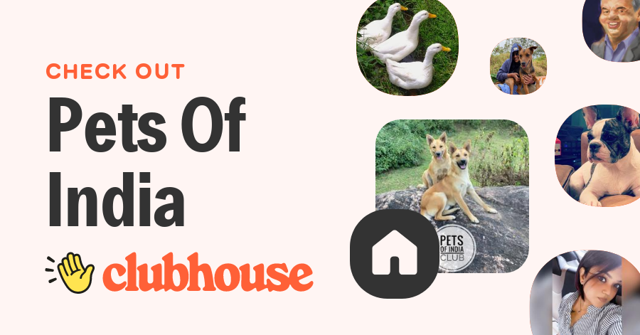 Pets Of India