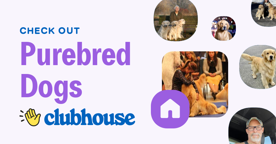 Purebred Dogs