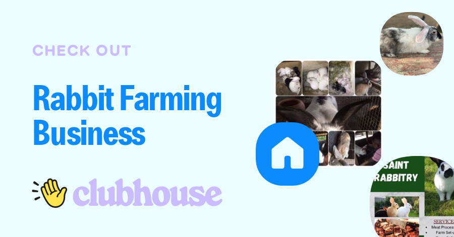 Rabbit Farming Business