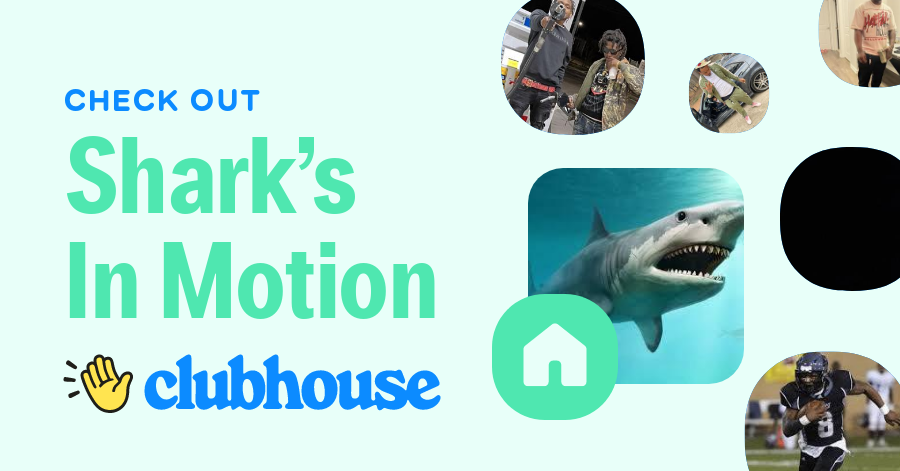 Shark’s In Motion