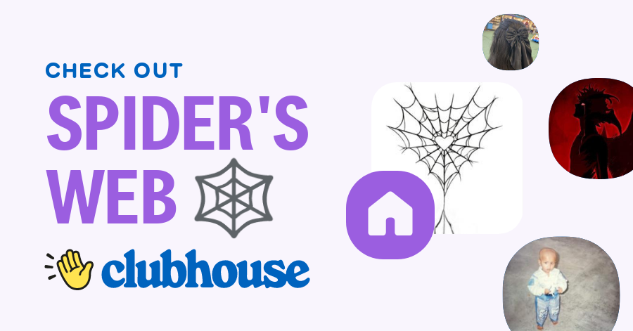 SPIDER'S WEB 🕸️