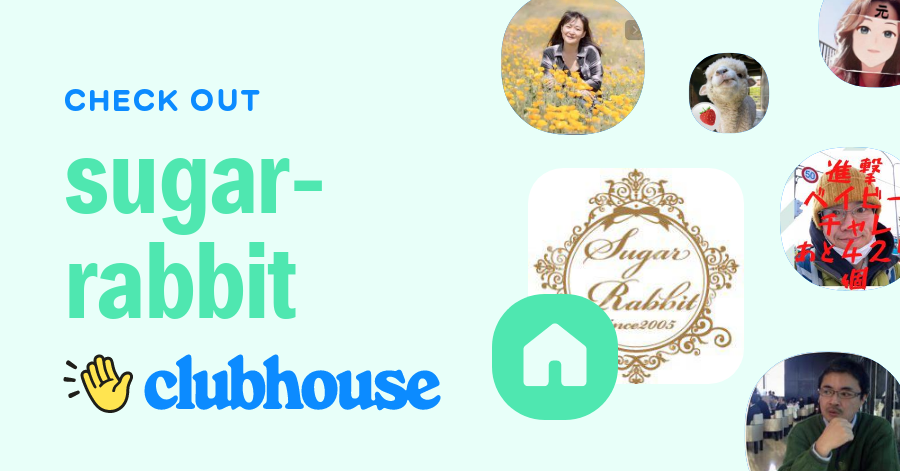sugar-rabbit