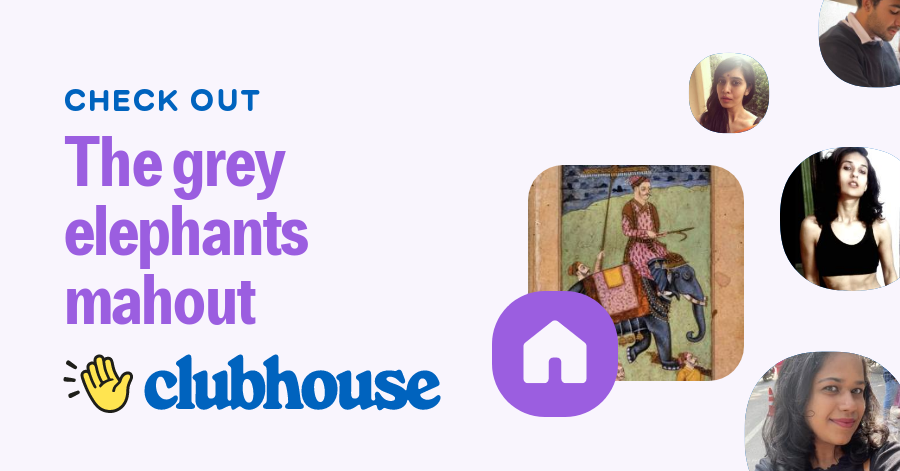 The grey elephants mahout