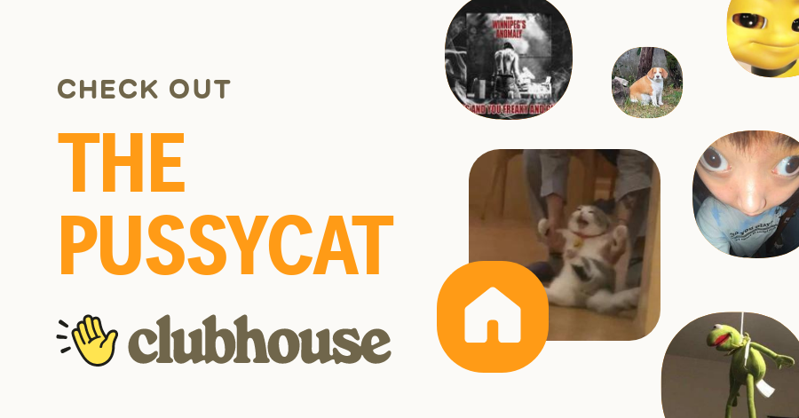 THE PUSSYCAT