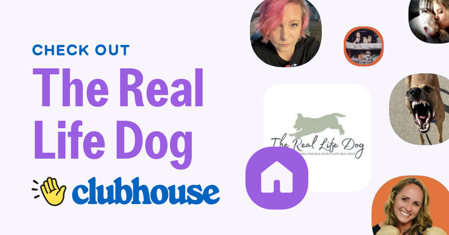 The Real Life Dog