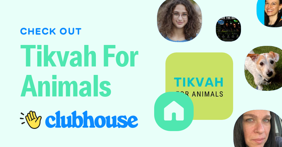 Tikvah For Animals