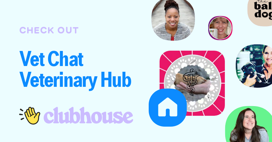Vet Chat Veterinary Hub