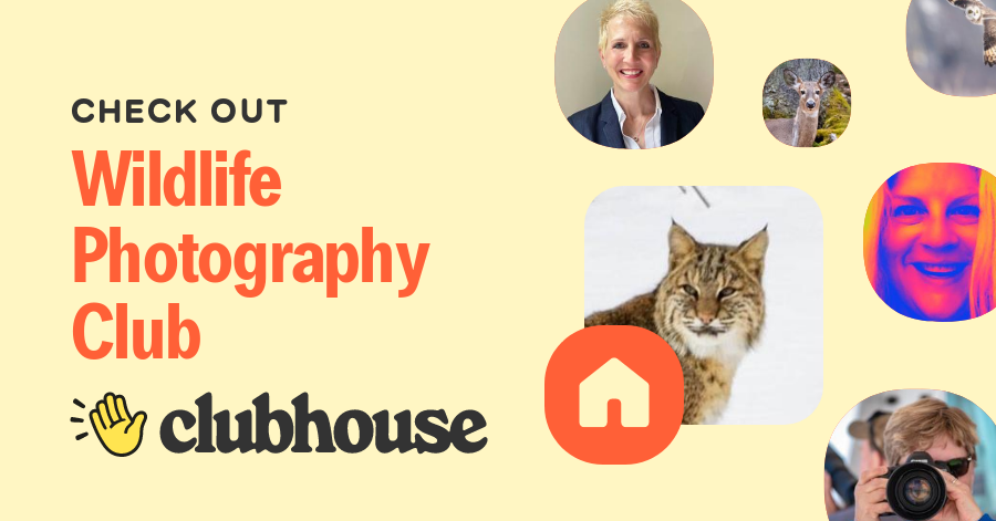 Wildlife Photography Club