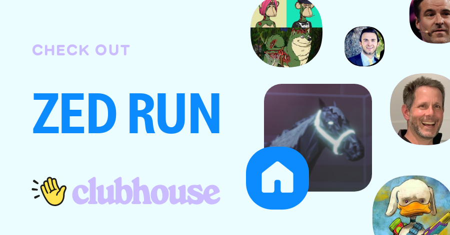 ZED RUN