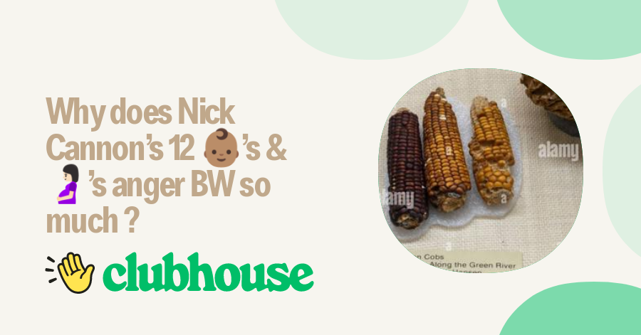 Why does Nick Cannon’s 12 👶🏽’s & 🤰🏻’s anger BW so much