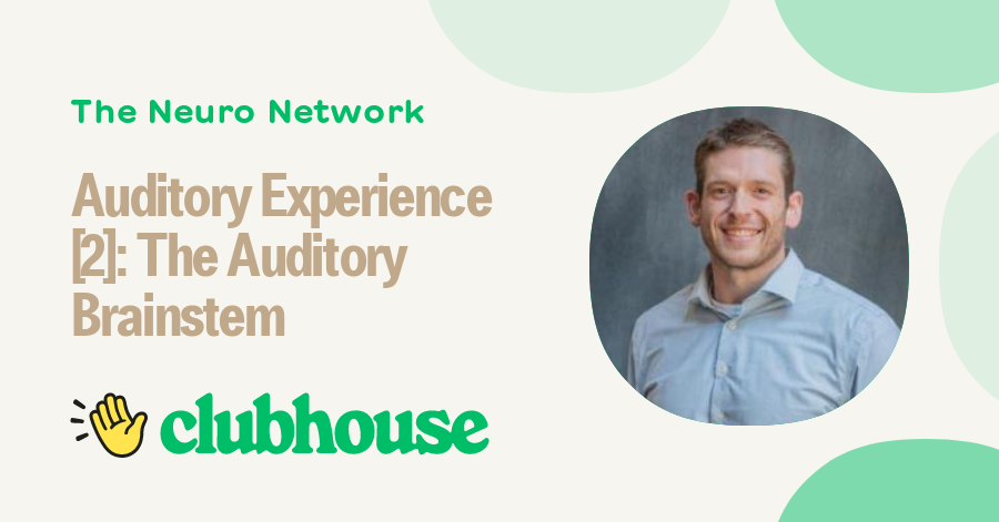 Auditory Experience [2]: The Auditory Brainstem