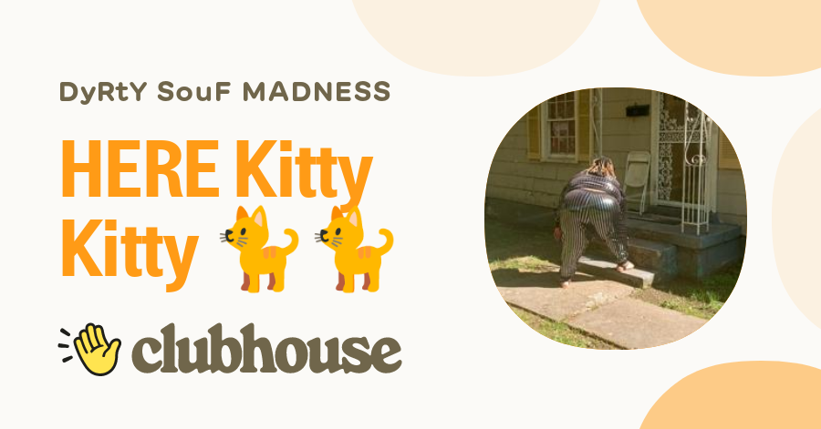 Join HERE Kitty Kitty 🐈🐈