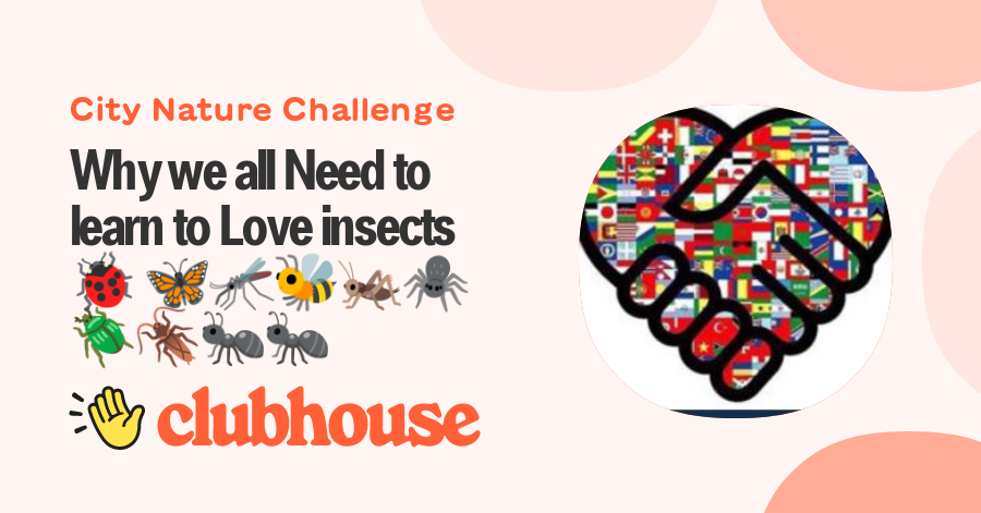 Why we all Need to learn to Love insects 🐞 🦋🦟🐝🦗🕷🪲🪳🐜🐜