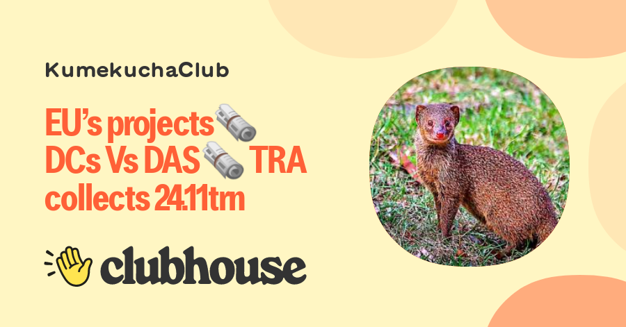 EU’s projects🗞️ DCs Vs DAS🗞️ TRA collects 24.11trn
