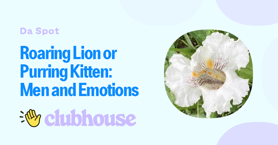 Roaring Lion or Purring Kitten: Men and Emotions