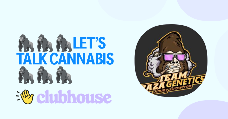 🦍🦍🦍LET’S TALK CANNABIS 🦍🦍🦍