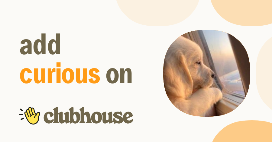 Curious Boy - Clubhouse