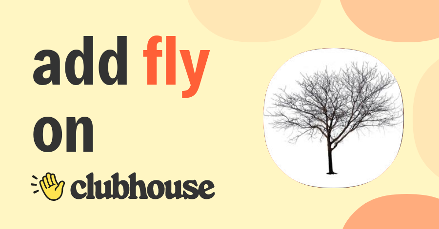 fly bird - Clubhouse