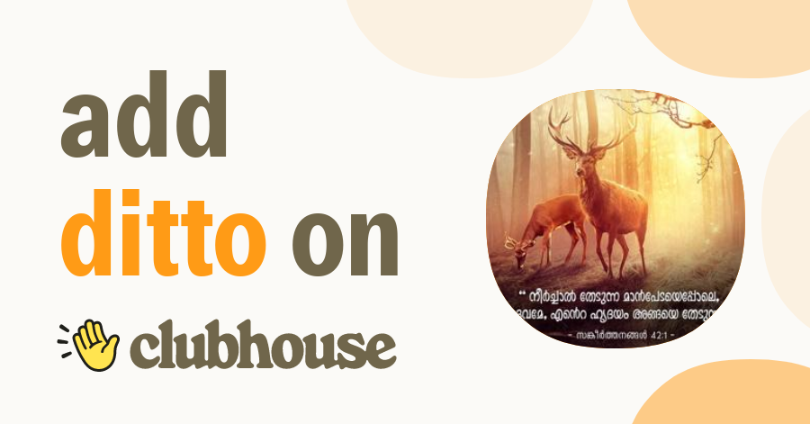 Ditto Wilson - Clubhouse