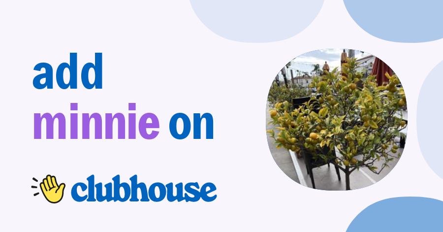 Minnie J. - Clubhouse