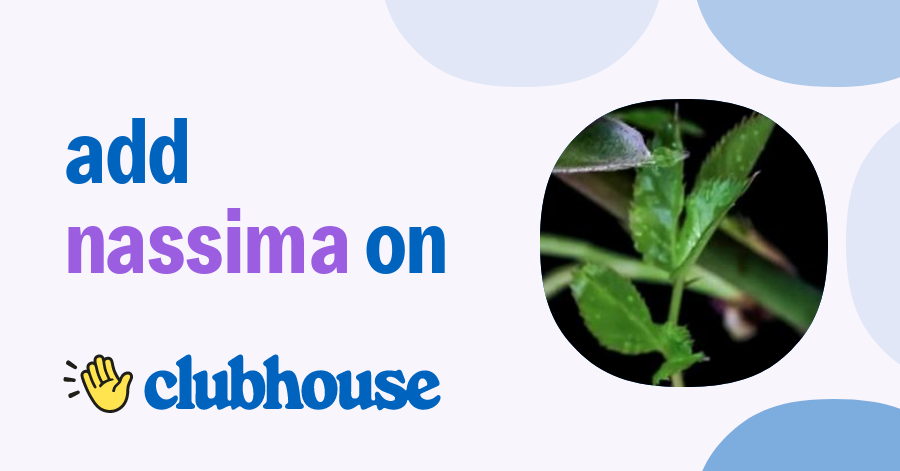 Nassima N - Clubhouse